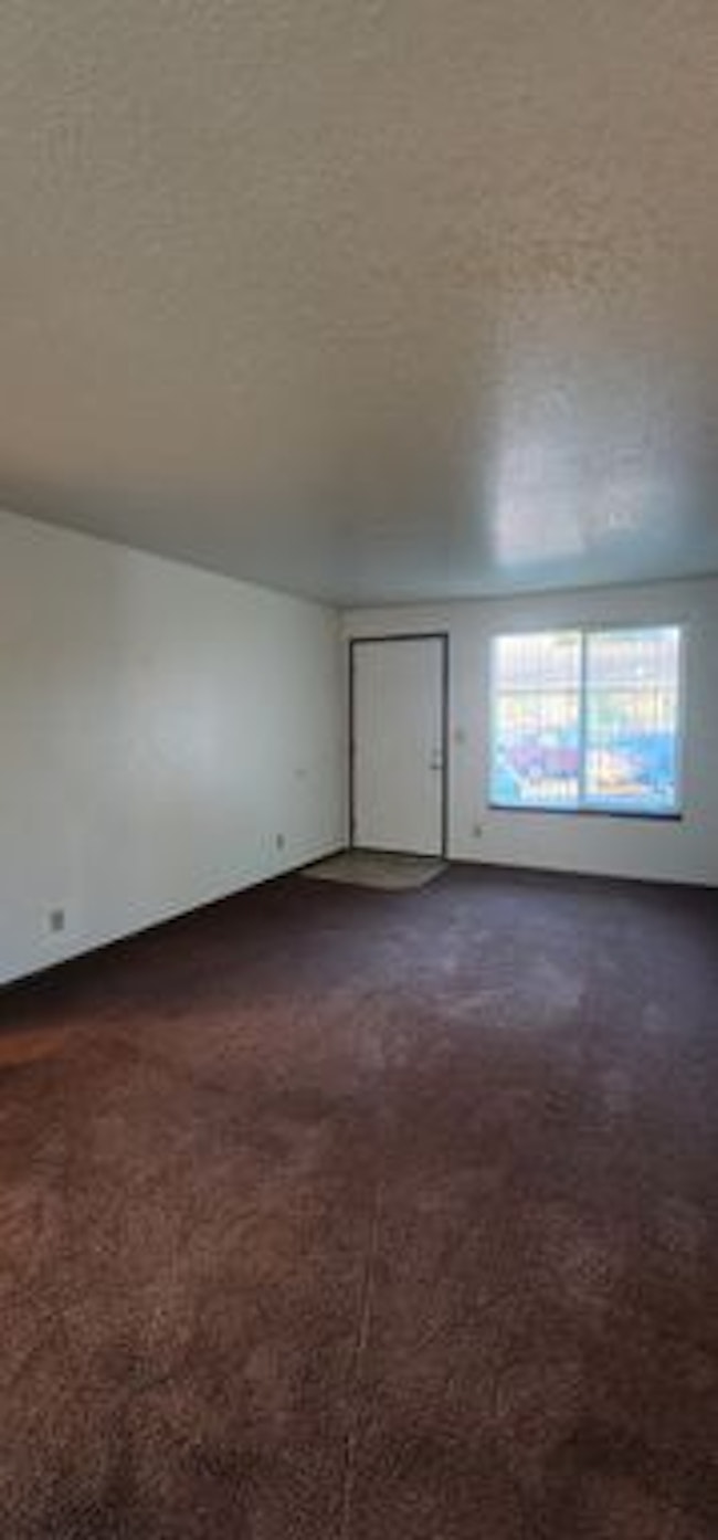 Pacific Screening Dashboard