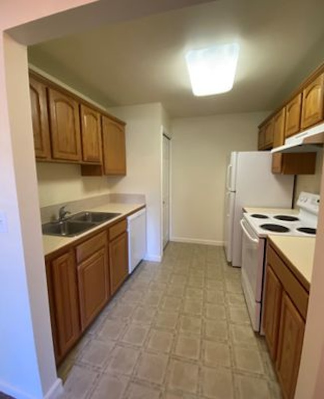 Pacific Screening Dashboard