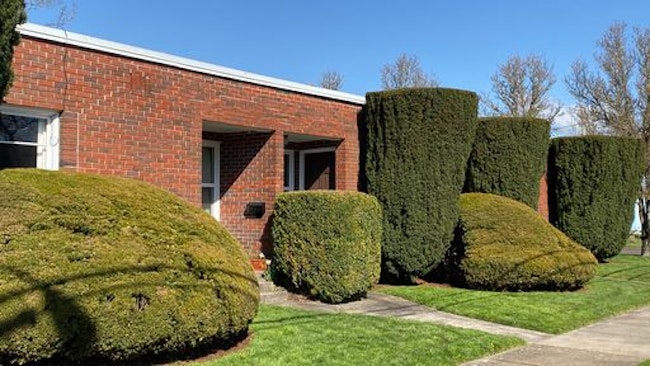 Pacific Screening Dashboard