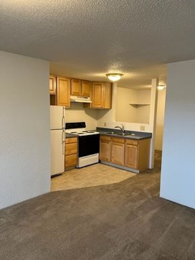 Pacific Screening Dashboard